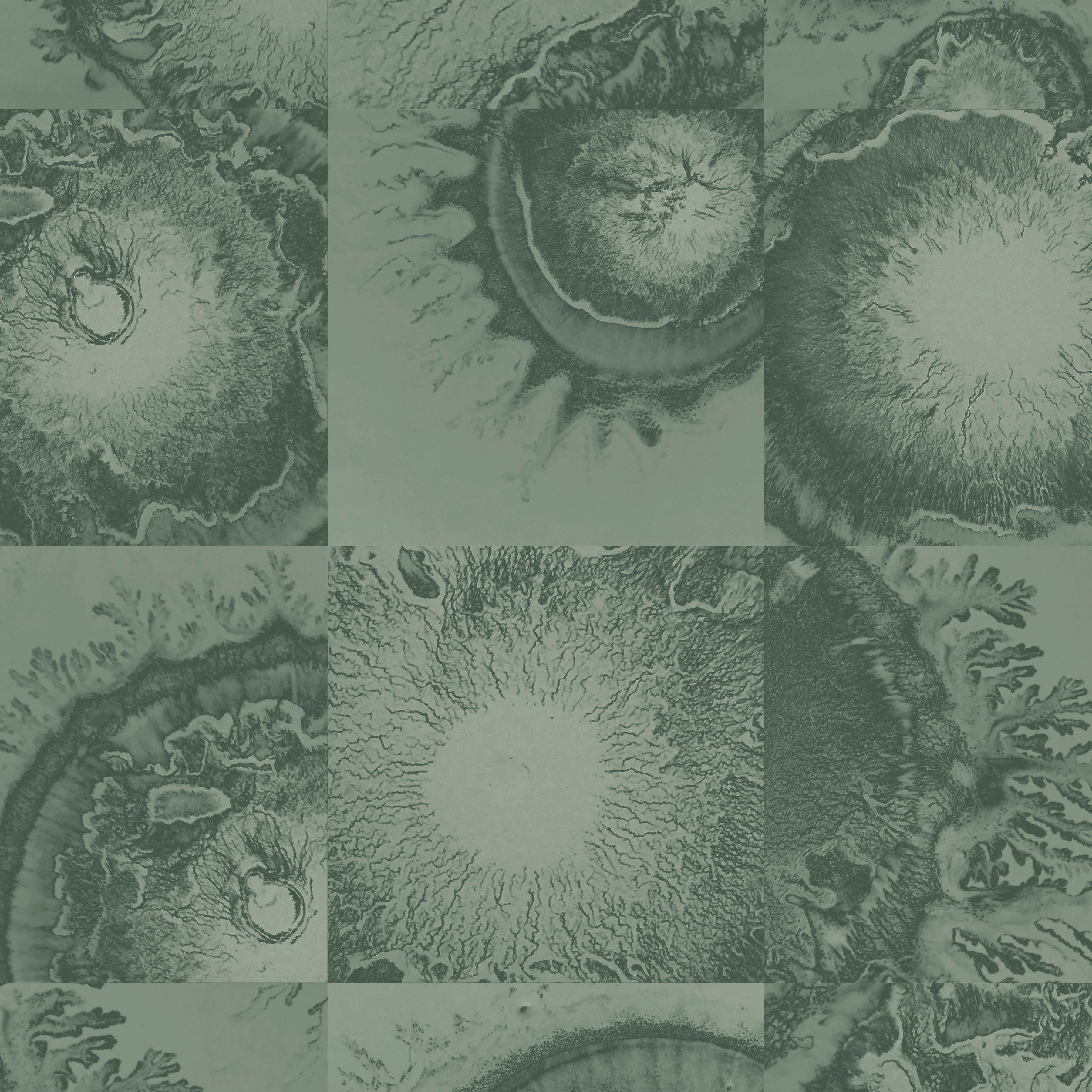 Diffused - French Green Wallpaper