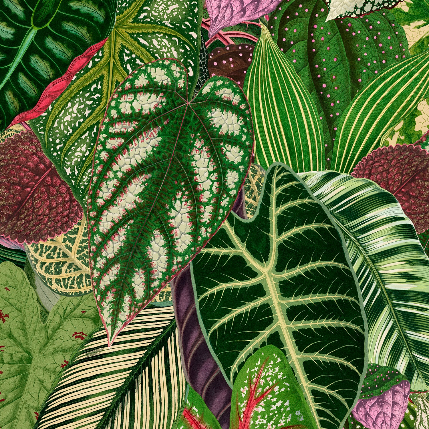 Variegated - Fantasy Traditional & Peel and Stick Wallpaper