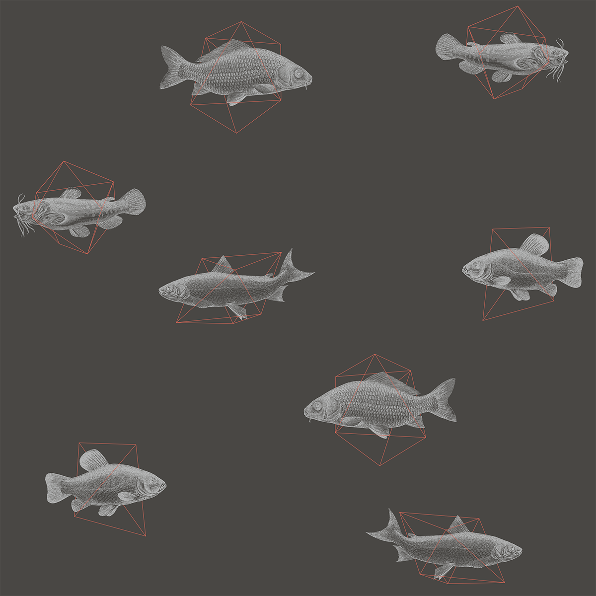 Geo Fish - Deep Traditional & Peel and Stick Wallpaper