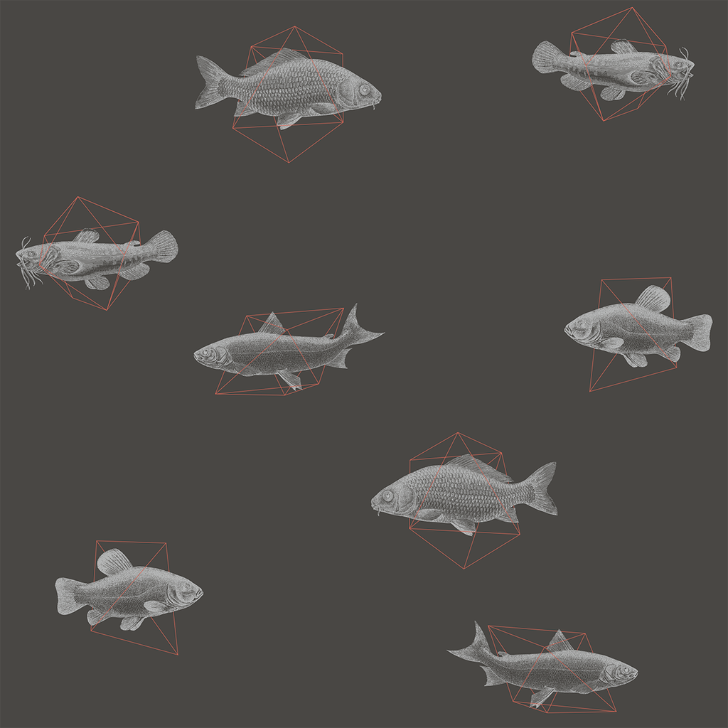 fish print wallpaper