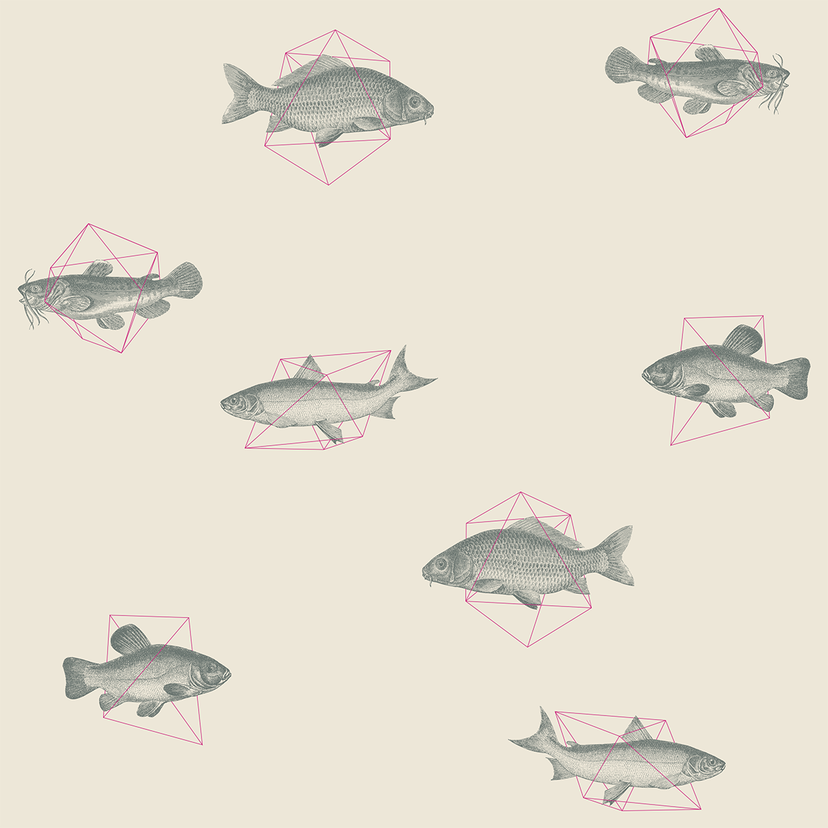 Geo Fish - Delta Traditional & Peel and Stick Wallpaper